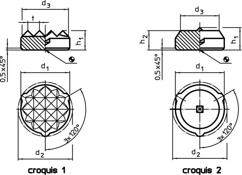 Insert à picots / carbure / rond - EH 22620 - HALDER France
