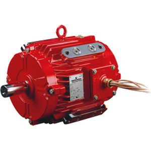 Moteur asynchrone - ATB - AC / 400V / à cage d'écureuil