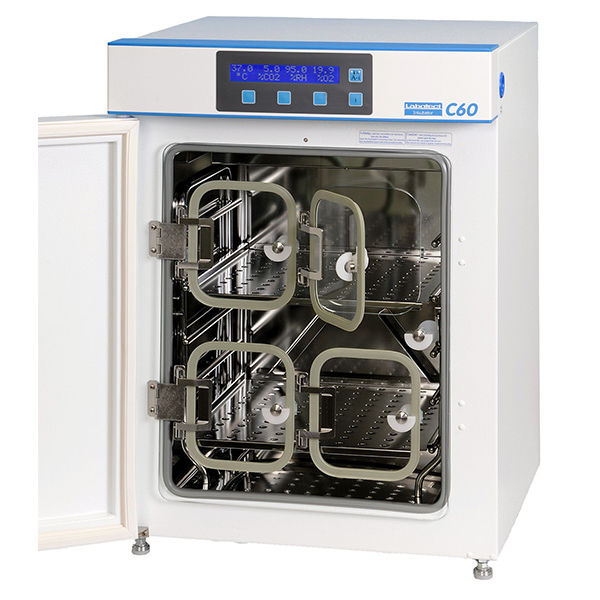 Incubateur à CO2 - C60 - labotect - de laboratoire / à convection naturelle