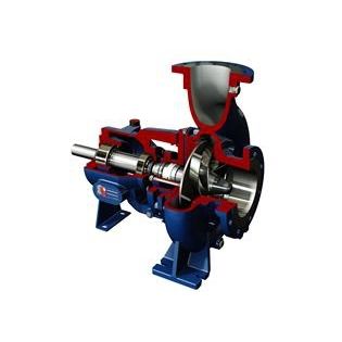 Pompe à rotor - RG series - SALVATORE ROBUSCHI & C. srl - à eau ...