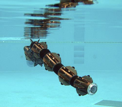 Robot d'inspection étanche - ACM-R5H - Hibot