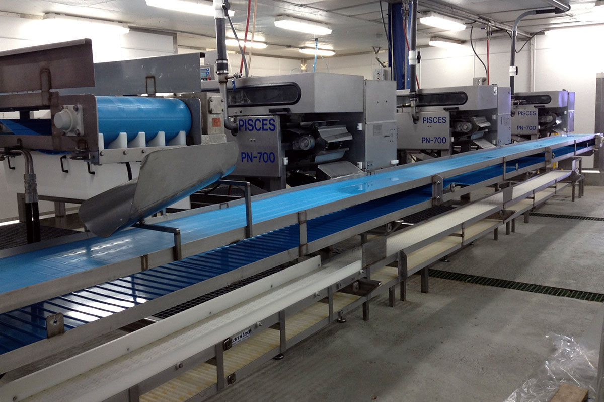 Etêteuse éviscereuse pour merlus - PN-700 - Pisces Fish Machinery Inc.