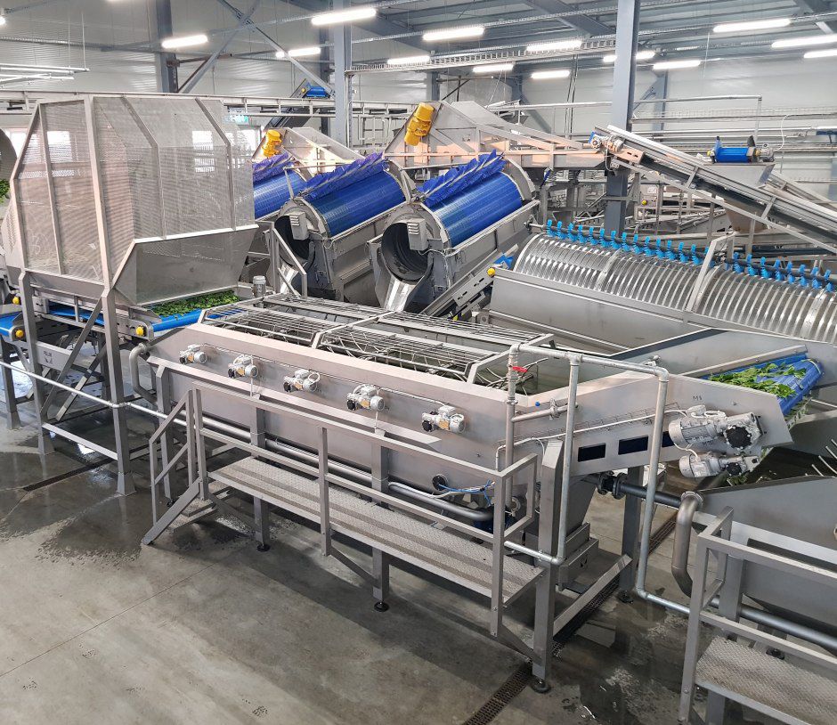 Laveuse agro-alimentaire d'épinards - SW-10A SpinachWash - POLLAK SALA