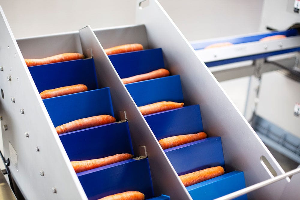 Machine à éplucher de carottes / pour concombres / de salsifis / de ...