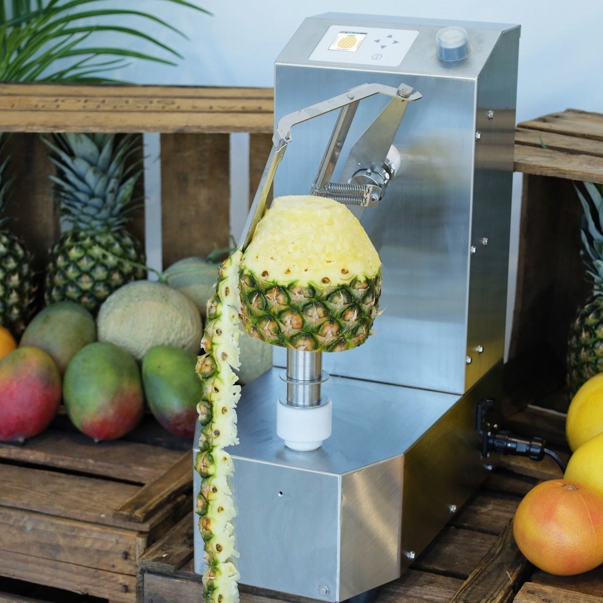 Machine à éplucher d'ananas - KA-750PM - ASTRA - de melons / de mangues ...