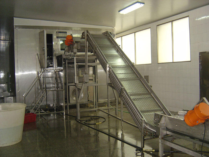 Congélateur IQF - SLD - SHAOXING WALLEY FOOD MACHINERY CO., LTD. - de ...