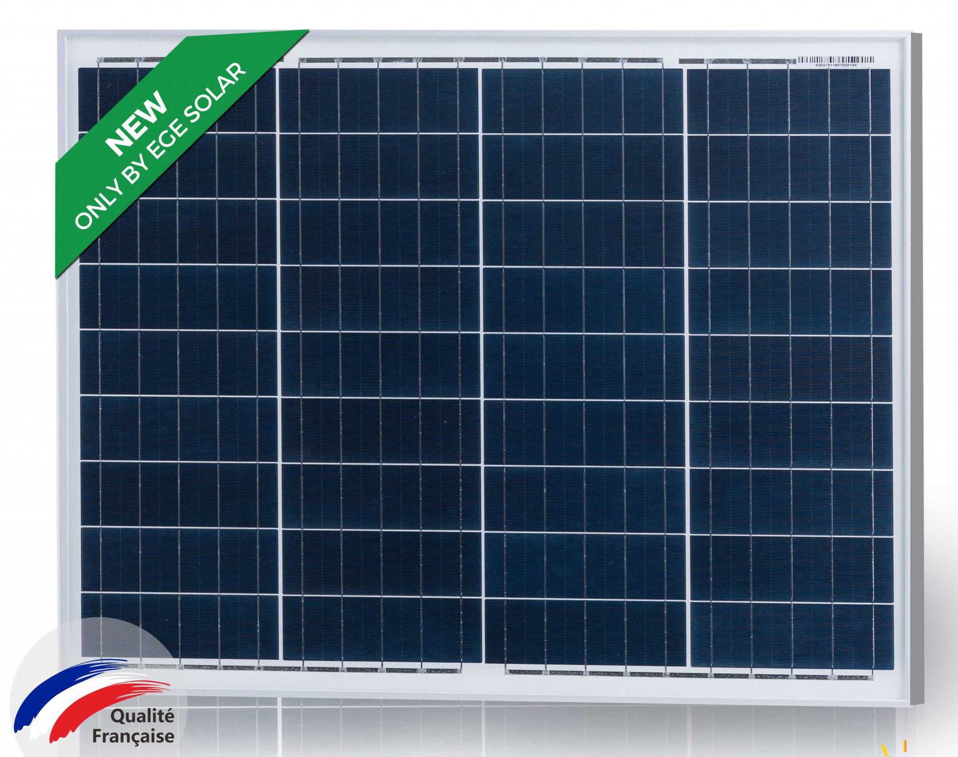 Module PV solaire en silicium polycristallin - EGE-55P-36 - Eco Green ...