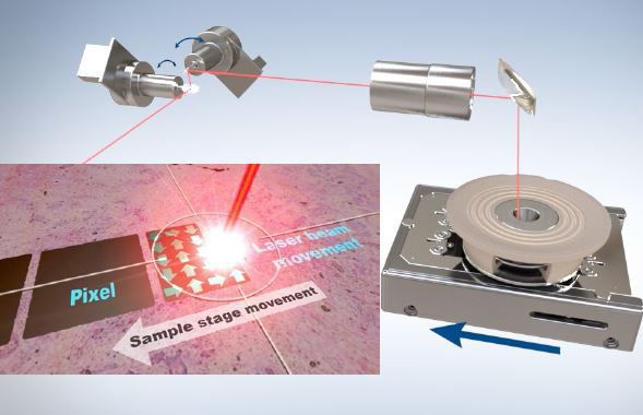 Spectromètre de masse MALDI-TOF - rapifleX™ - Bruker Daltonics - de ...