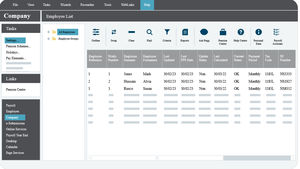 Logiciel de gestion - Sage 50 Payroll - Sage bäurer GmbH - de commande / de paie / de process