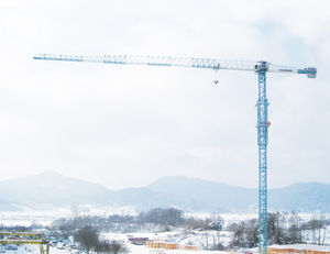 Grue fixe - ED740L-32 - Everdigm - à flèche relevable / à tour / pour ...