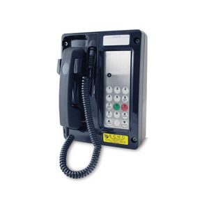 Interphone audio - ECHO E2 - FEDERAL SIGNAL - d'urgence / IP66 ...