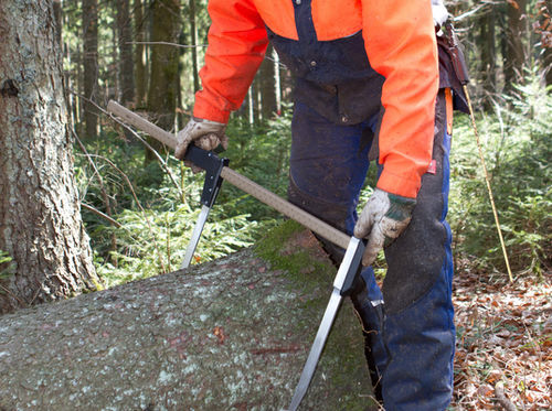 Pied à coulisse forestier - Waldmeister - Gottlieb Nestle GmbH - à bec ...