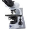 Microscope optique - B-510BF4K - Optika Srl - de laboratoire / à champ ...